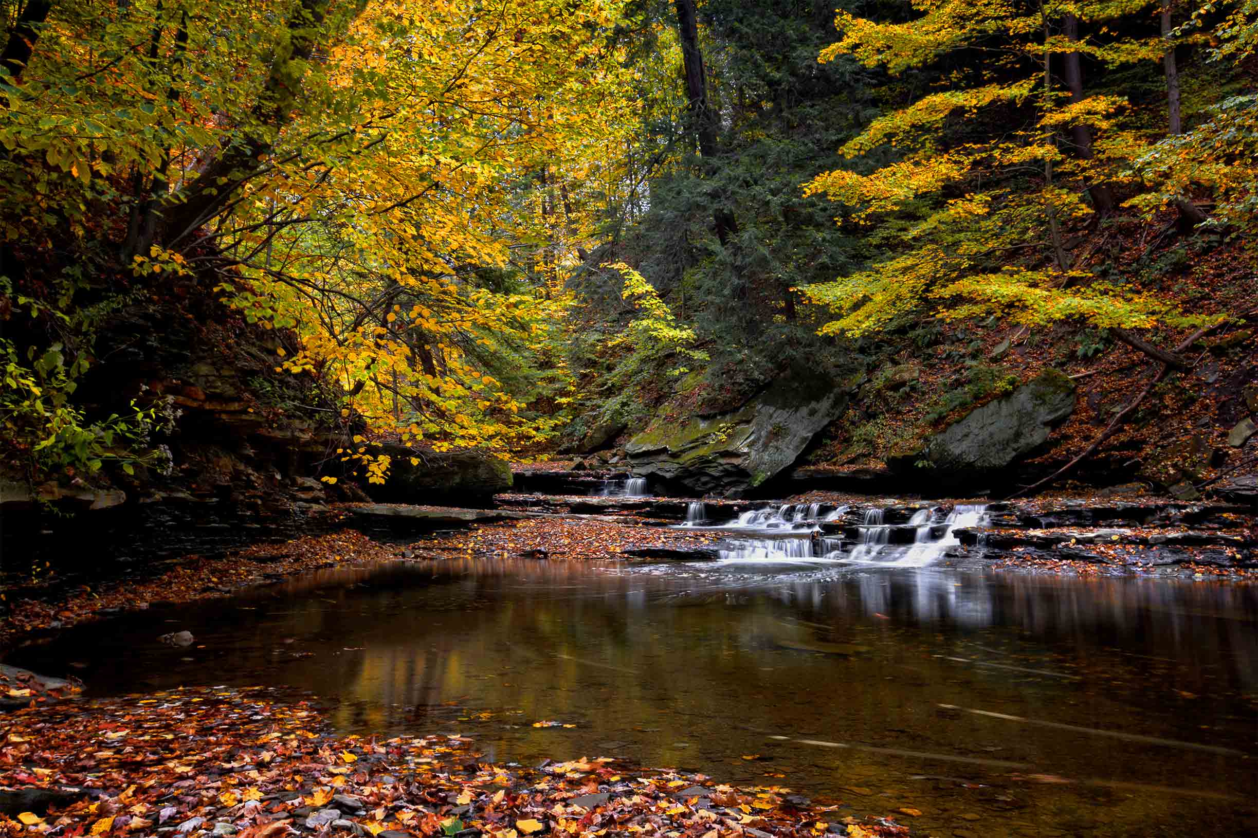 Ohio Environmental Council