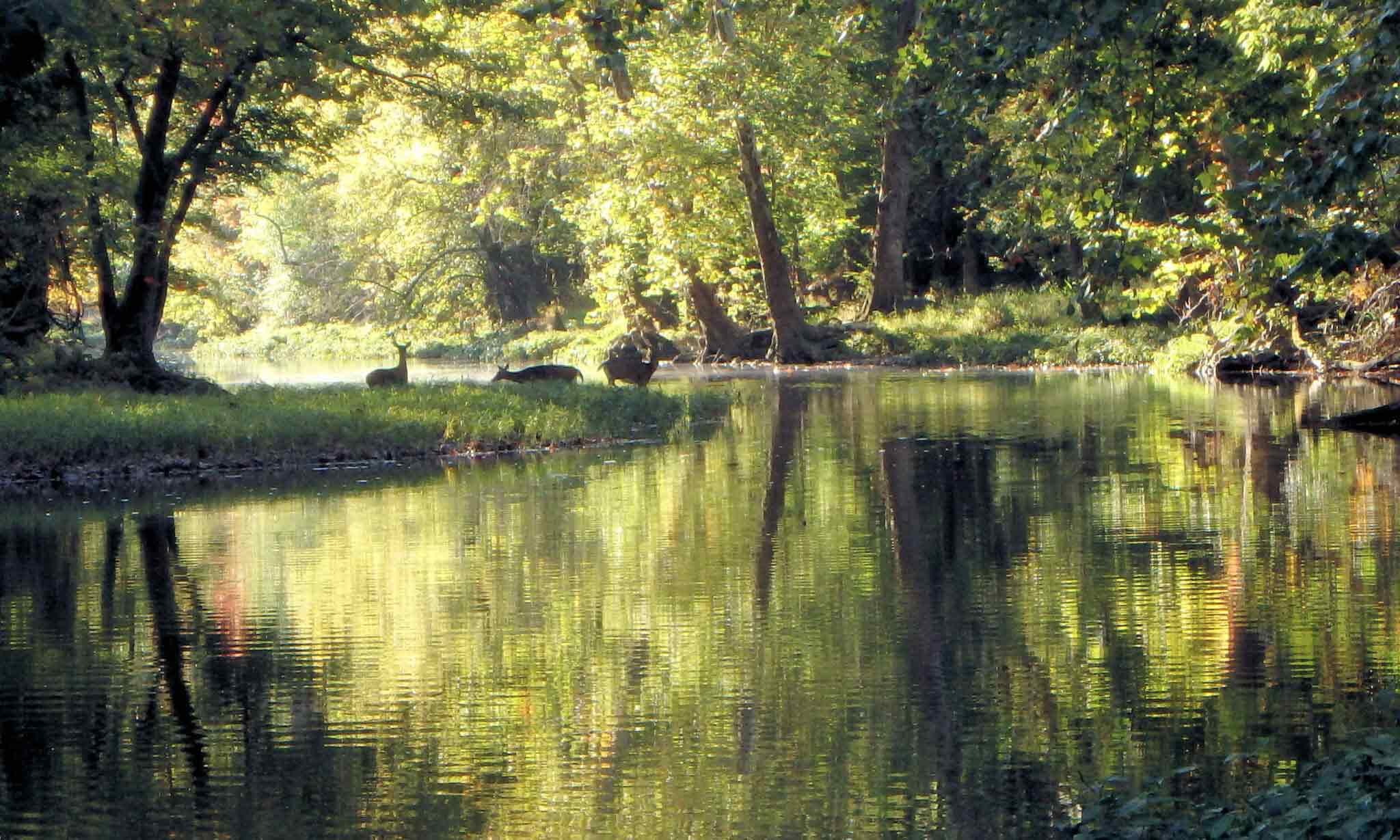 Protect Big and Little Darby Creeks - Ohio Environmental Council